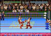 Natsume Championship Wrestling Super Nintendo Video Game SNES ...